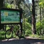 Forest Park Carbon Gravel Bike and E-Bike Tour - The Value of This Experience