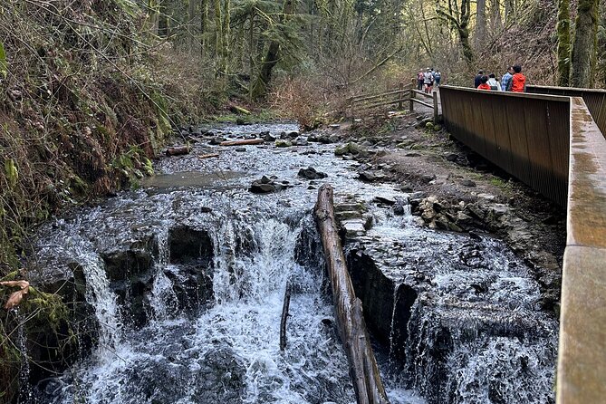 Forest Park Hiking Tour to Pittock Mansion - What’s Included and Practicalities