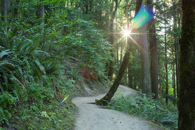 Forest Park Hiking Tour to Pittock Mansion - The Balance of Value and Experience