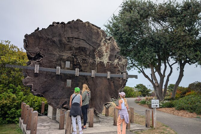 Fort Bragg California Scavenger Hunt Walking Activity and Game - The Sum Up