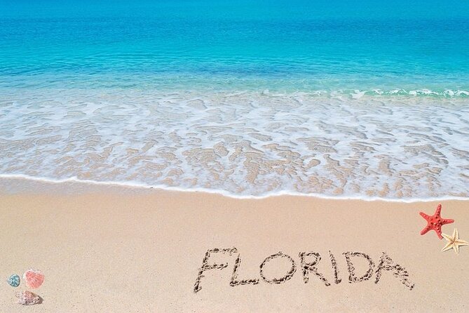 Fort Lauderdale Airport Private Transfer to Port Everglades - Final Thoughts