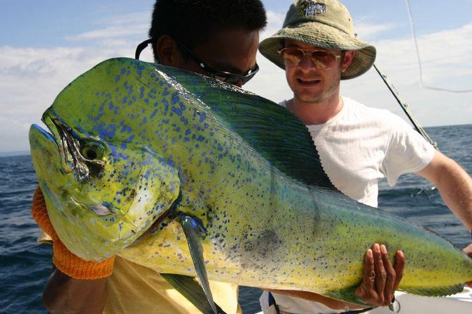 Fort Lauderdale Deep Sea Fishing Charters - To sum it up