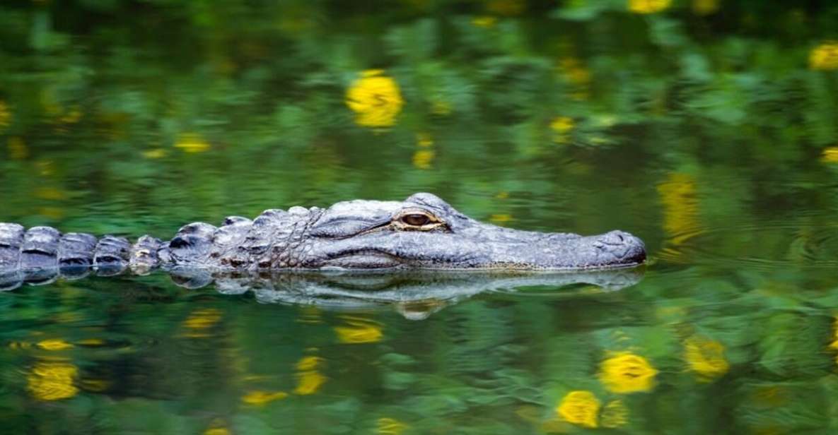 Fort Lauderdale: Everglades Express Tour with Airboat Ride - Final Thoughts: Is It Worth It?