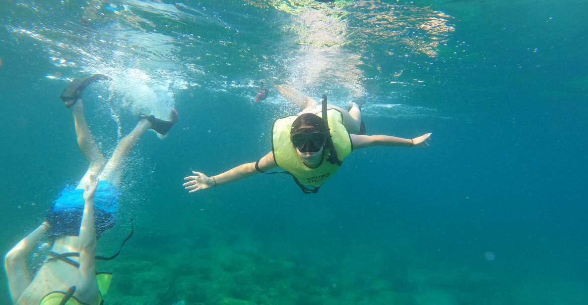 Fort Lauderdale: Guided Snorkeling Reef Tour and Lesson - What You Can Expect from This Fort Lauderdale Snorkeling Tour