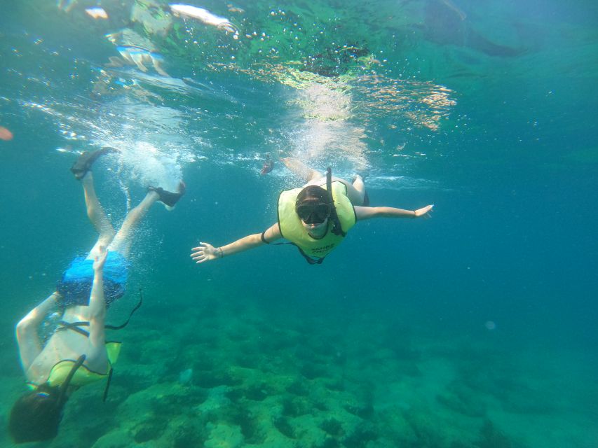 Fort Lauderdale: Guided Snorkeling Reef Tour and Lesson - The Snorkeling Experience: A Close Encounter with Marine Life