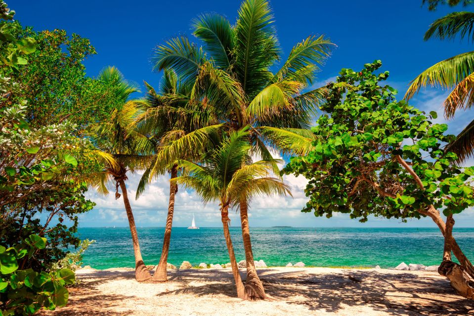 Fort Lauderdale: Key West Day Trip with Optional Activities - Key Points