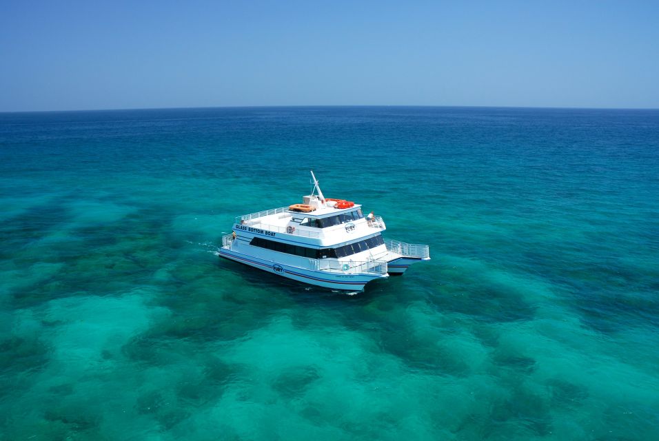 Fort Lauderdale: Key West Day Trip with Optional Activities - What to Expect in Key West