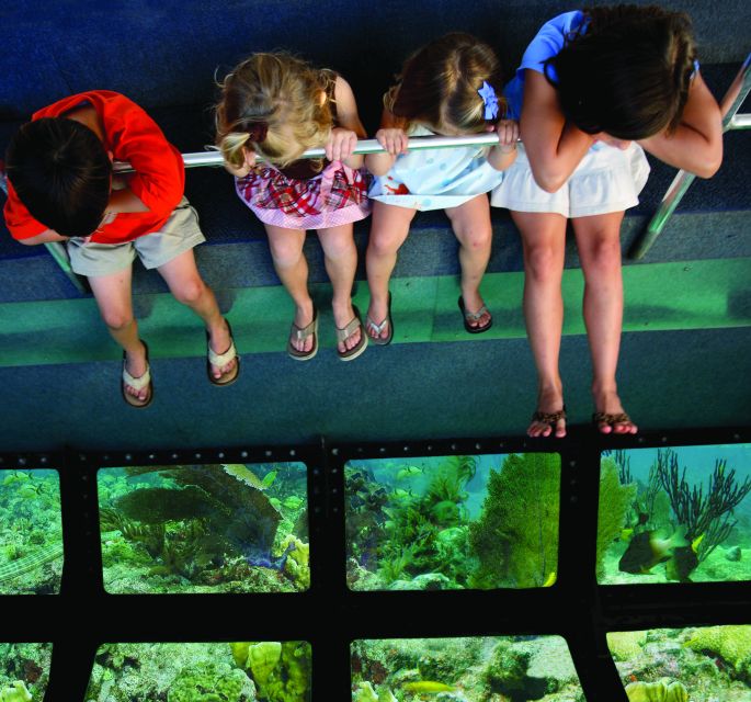 Fort Lauderdale: Key West Day Trip with Optional Activities - FAQ