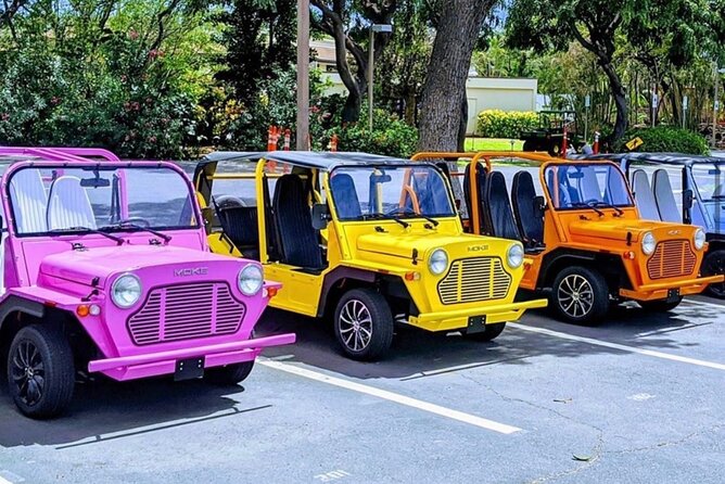 Fort Lauderdale Moke City Tour - Key Points
