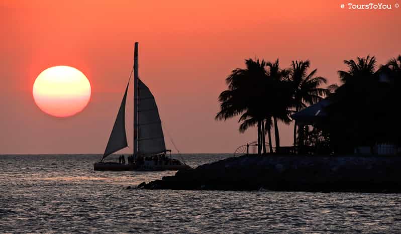 Fort Lauderdale to Key West Day Trip - Exploring the Fort Lauderdale to Key West Day Trip: An Honest Look
