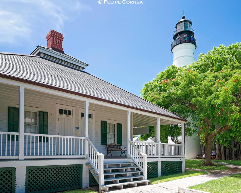 Fort Lauderdale to Key West Day Trip - Transportation and Comfort: Why It Matters