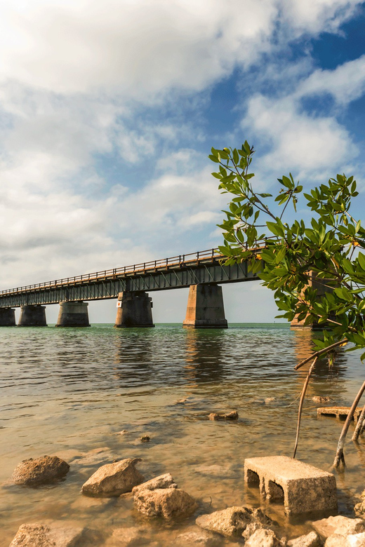 Fort Lauderdale to Key West Day Trip - Pricing Analysis: Is It Good Value?