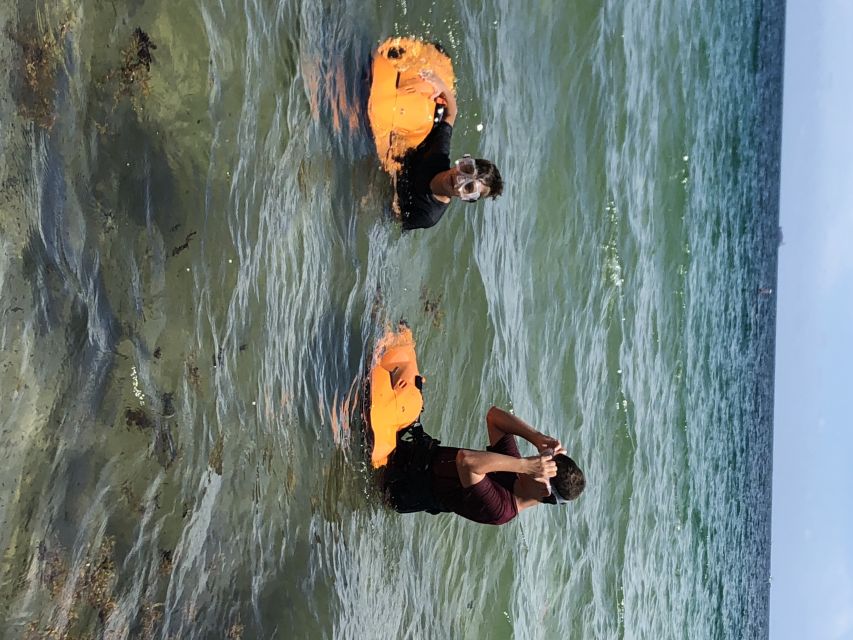 Fort Lauderdale: Ultimate SEABOB Snorkel Rental & Excursion - Equipment and Comfort