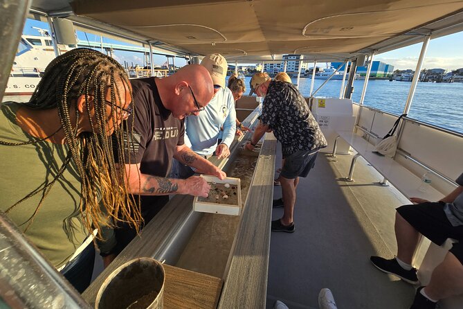 Fort Myers Beach Sightseeing with Shark Teeth and Shelling Tour - Who Should Consider This Tour?