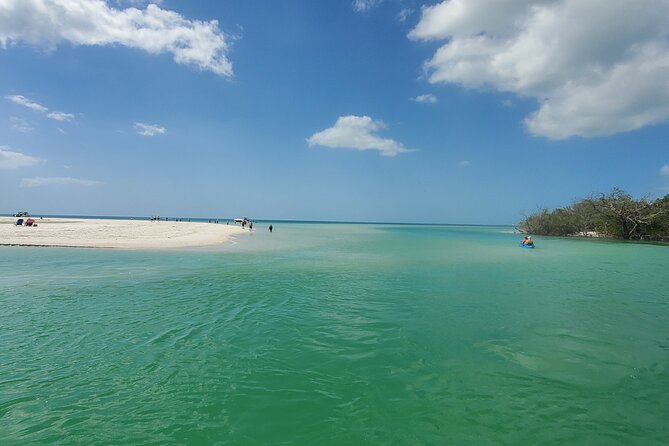 Fort Myers Beach Sightseeing with Shark Teeth and Shelling Tour - Frequently Asked Questions