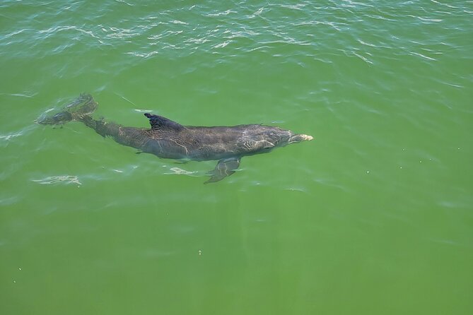 Fort Myers Beach Sunset Excursion - Final Thoughts