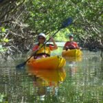 Fort Myers: Guided Kayak or SUP Tour in Pelican Bay - The Experience Itself: A Closer Look