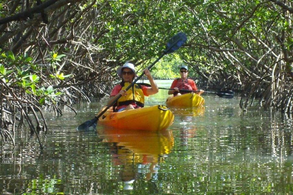 Fort Myers: Guided Kayak or SUP Tour in Pelican Bay - The Experience Itself: A Closer Look