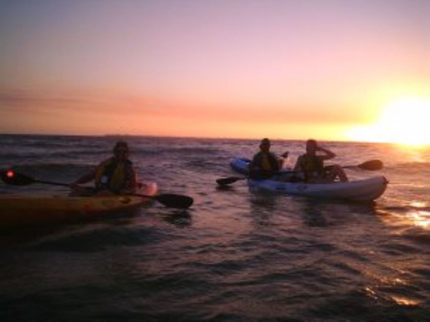 Fort Myers: Guided Sunset Kayaking Tour through Pelican Bay - The Value Proposition