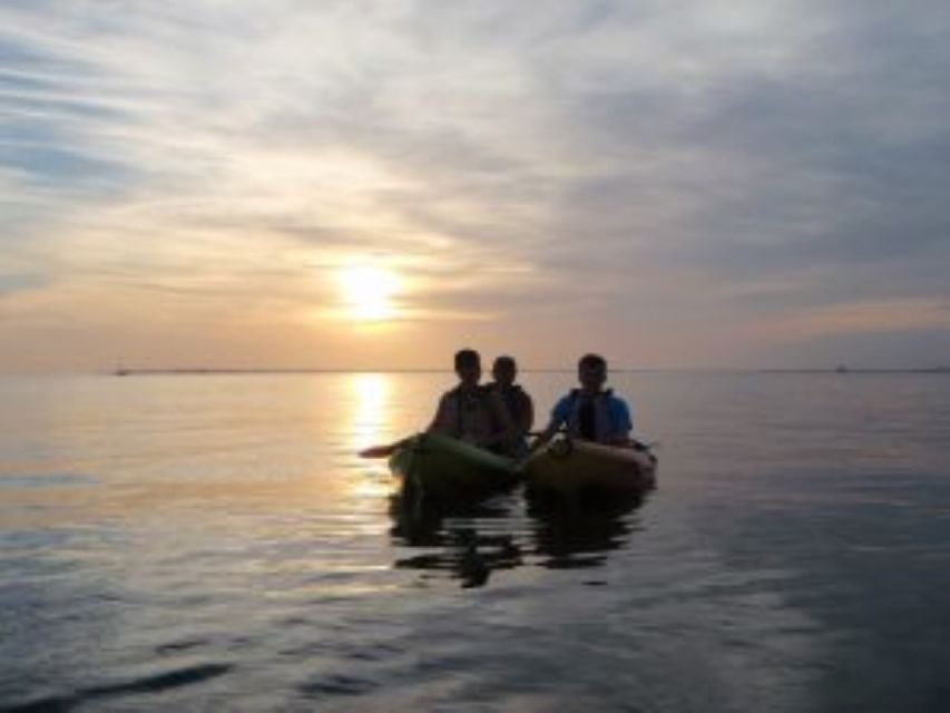 Fort Myers: Guided Sunset Kayaking Tour through Pelican Bay - Who Will Love This Tour?