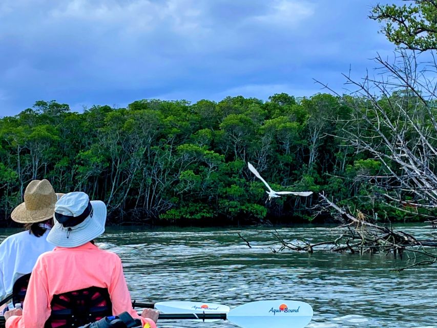 Fort Pierce: 4-hr Mangroves & Dolphin Watch Sandbar in FL - Key Points