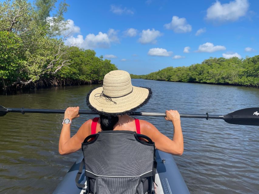Fort Pierce: 4-hr Mangroves & Dolphin Watch Sandbar in FL - Exploring the Details of the Tour