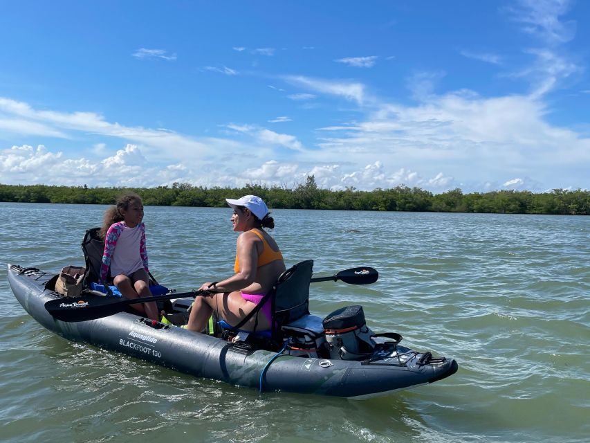 Fort Pierce: 4-hr Mangroves & Dolphin Watch Sandbar in FL - Why You’ll Love This Experience