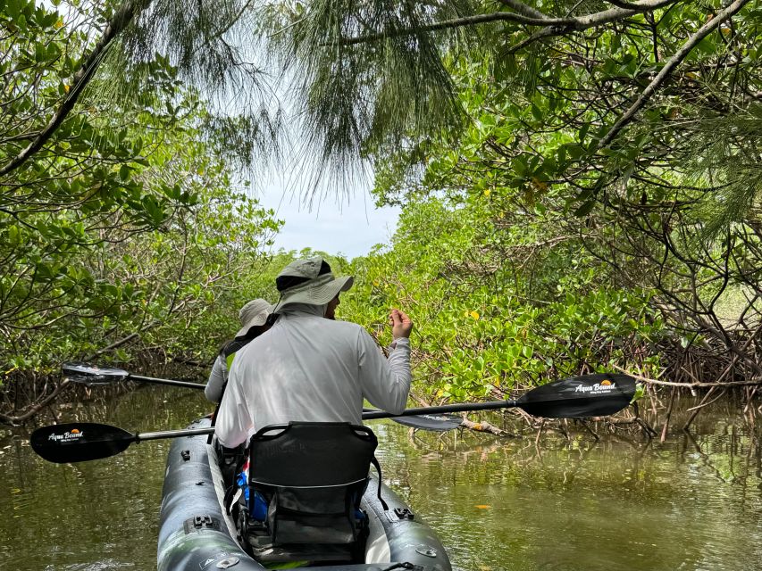 Fort Pierce: 6-hr Mangroves, Coastal Rivers & Wildlife in FL - The Itinerary and What You Can Expect