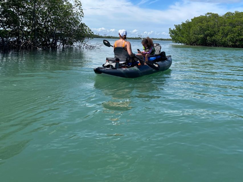 Fort Pierce: 6-hr Mangroves, Coastal Rivers & Wildlife in FL - Final Thoughts
