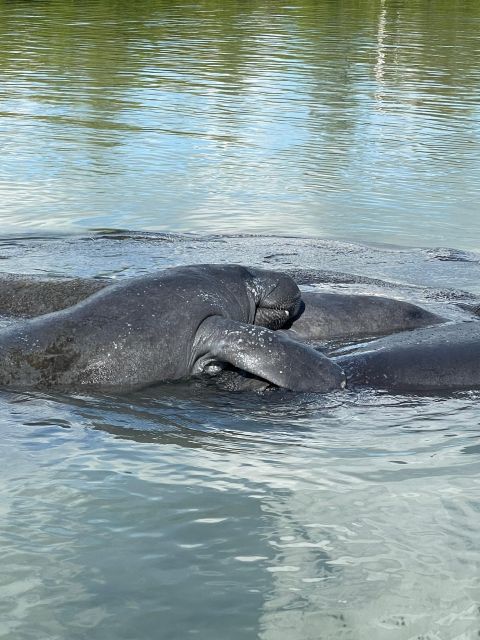 Fort Pierce: 8-hr Jungle and Lagoon passage to Ocean in FL - Key Points