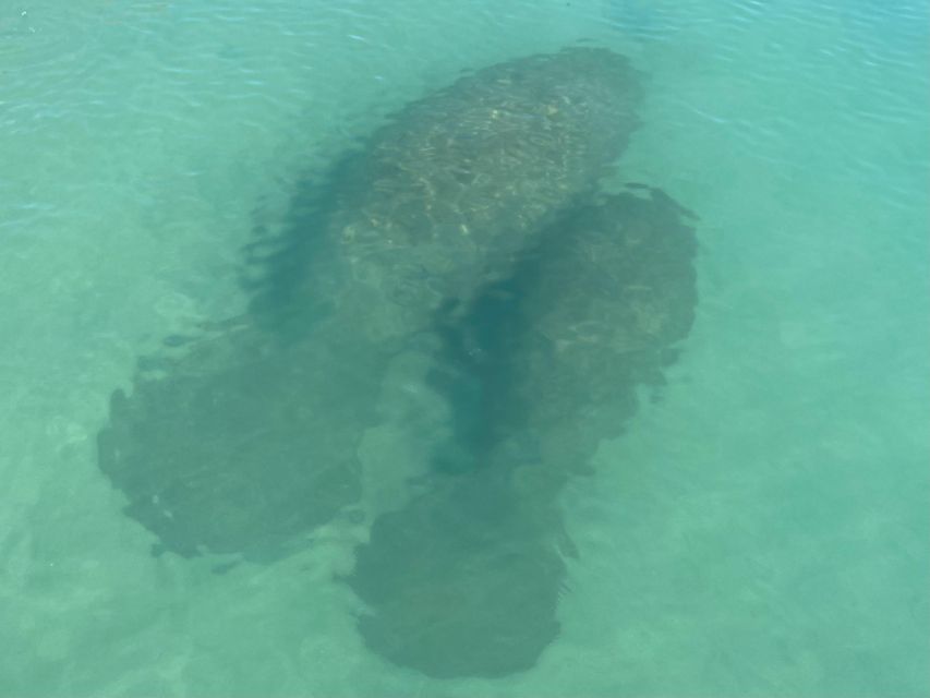 Fort Pierce: 8-hr Jungle and Lagoon passage to Ocean in FL - Final thoughts: Is this adventure right for you?
