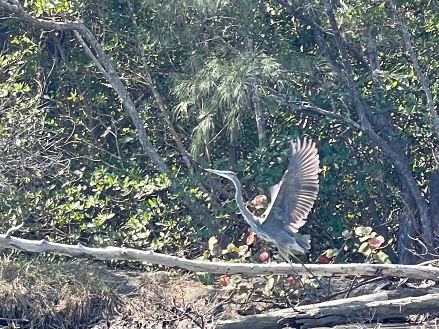 Fort Pierce: 8-hr Jungle and Lagoon passage to Ocean in FL - FAQ