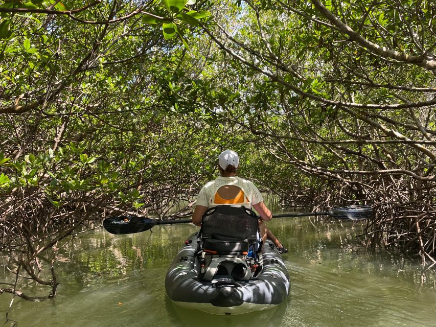 Fort Pierce: Prehistoric Preserve Kayak Tour - What to Expect During the Tour