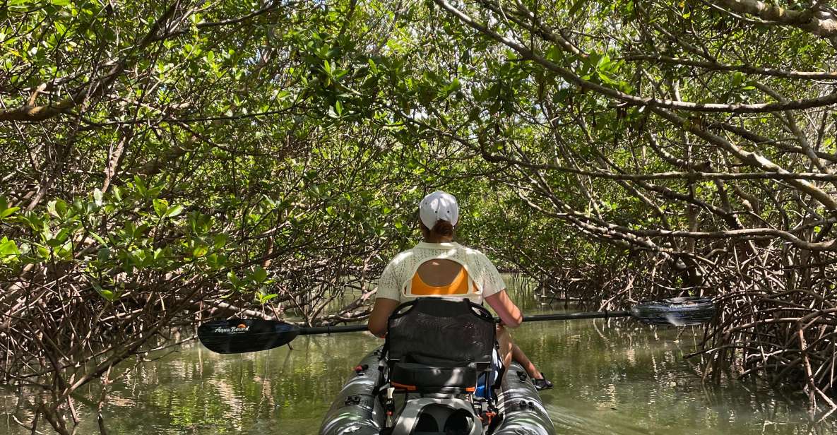Fort Pierce: Prehistoric Preserve Kayak Tour - The Experience in Detail