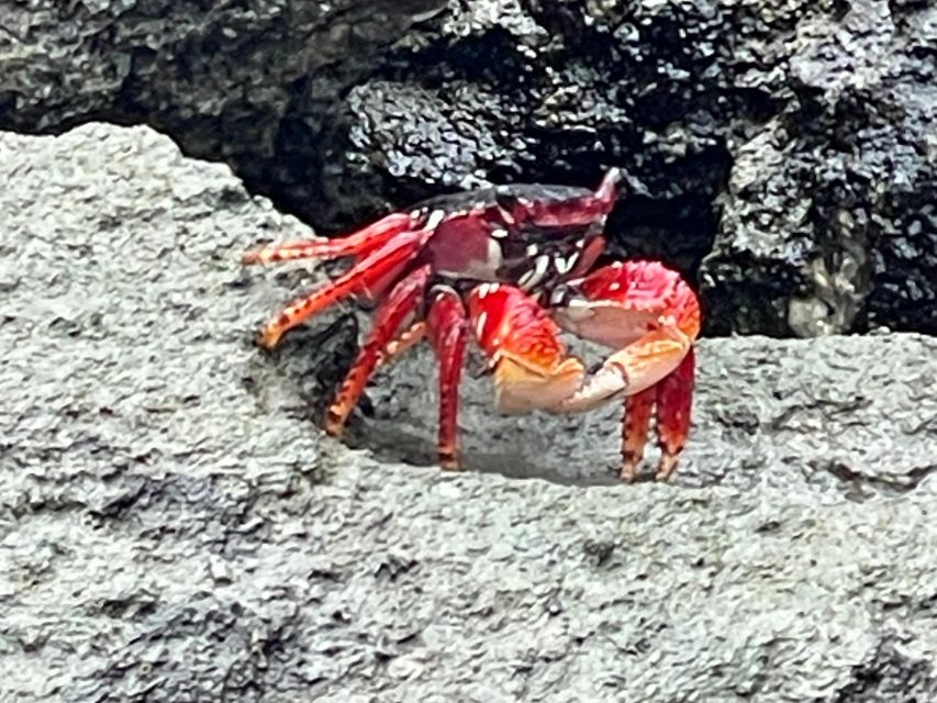 Fort Pierce: Prehistoric Preserve Kayak Tour - Practical Details and Tips