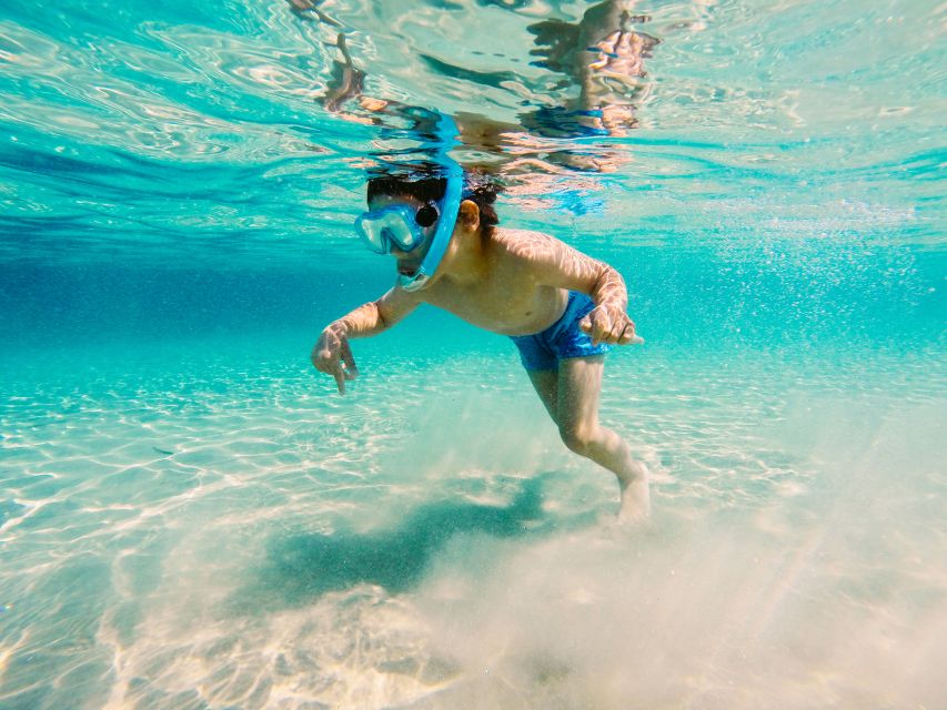 Fort Walton Beach: Morning Dolphin Cruise with Snorkel Stop - Key Points