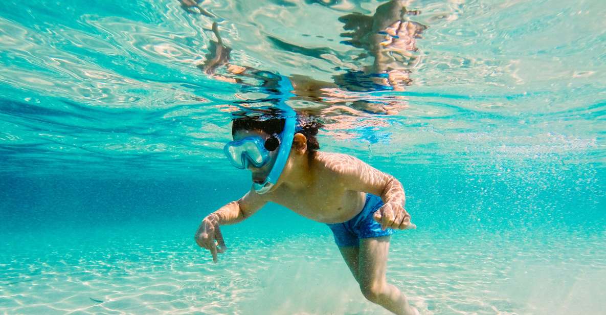 Fort Walton Beach: Morning Dolphin Cruise with Snorkel Stop - Setting Sail on a 45-Foot Catamaran