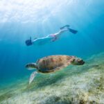Fort Walton Beach: Morning Dolphin Cruise with Snorkel Stop - The Experience Begins: Watching Dolphins and Learning Local Lore