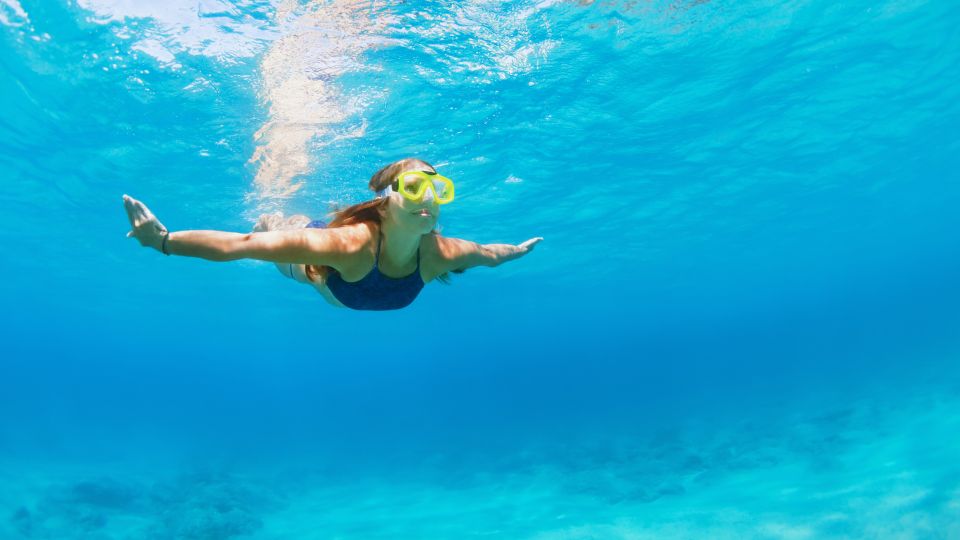 Fort Walton Beach: Morning Dolphin Cruise with Snorkel Stop - The Logistics: What You Need to Know