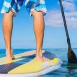 Fort Walton Beach: Paddle Board Rental - What to Expect During Your Paddleboard Adventure