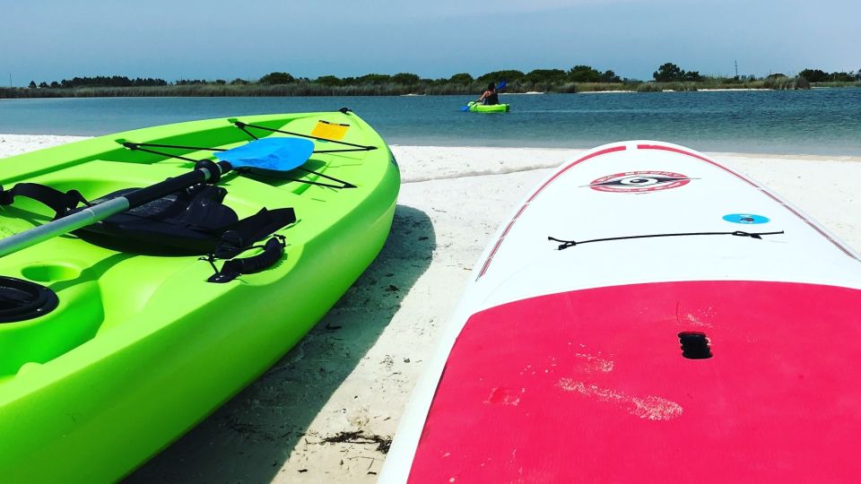 Fort Walton Beach: Paddle Board Rental - The Sum Up