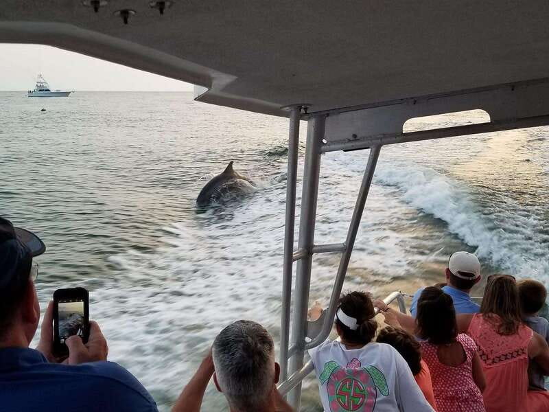 Fort Walton: Dolphin Discovery and Snorkeling Cruise - Key Points