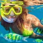 Fort Walton: Dolphin Discovery and Snorkeling Cruise - Who Should Consider This Tour?