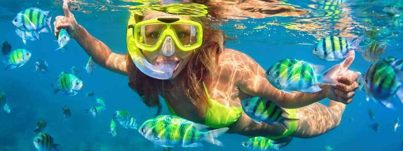 Fort Walton: Dolphin Discovery and Snorkeling Cruise - Who Should Consider This Tour?