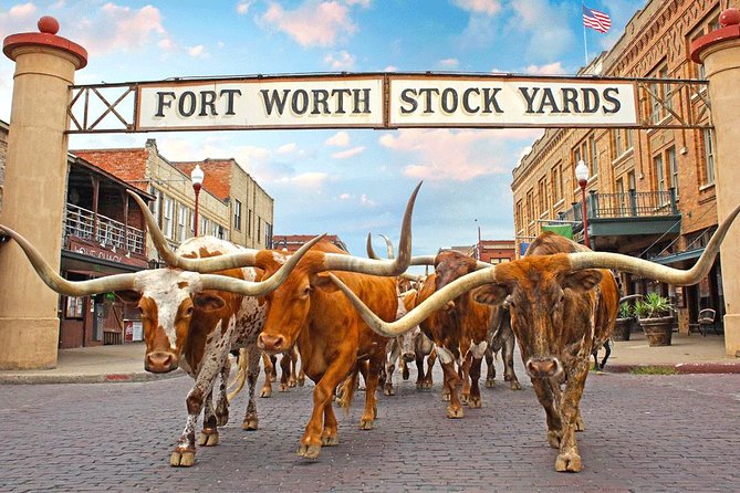 Fort Worth Highlights Tour - Final Thoughts