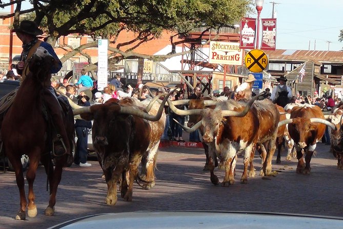 Fort Worth Historical Tour from Dallas - A Deep Dive into the Fort Worth Experience