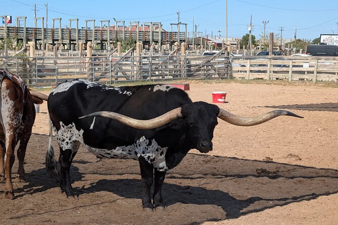 Fort Worth Stockyards Scavenger Hunt Walking Tour and Game - Exploring the Fort Worth Stockyards with a Self-Guided Scavenger Hunt