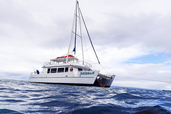 Four Winds Molokini Snorkeling Tour from Maalaea Harbor - The Voyage to Molokini Crater
