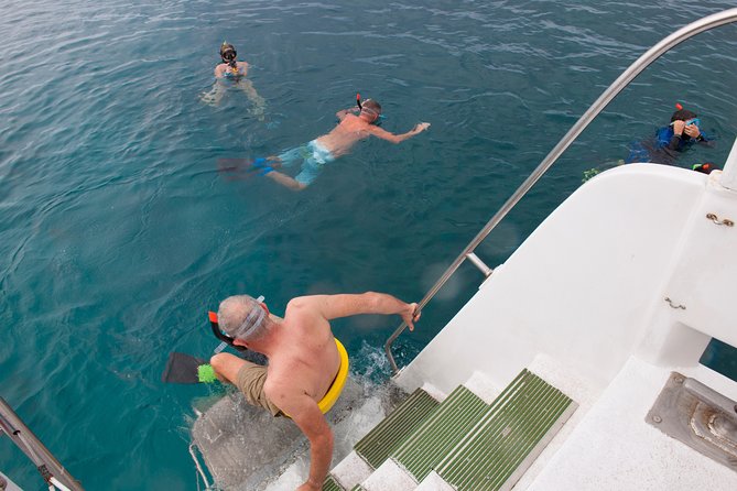 Four Winds Molokini Snorkeling Tour from Maalaea Harbor - Who Should Book This Tour?