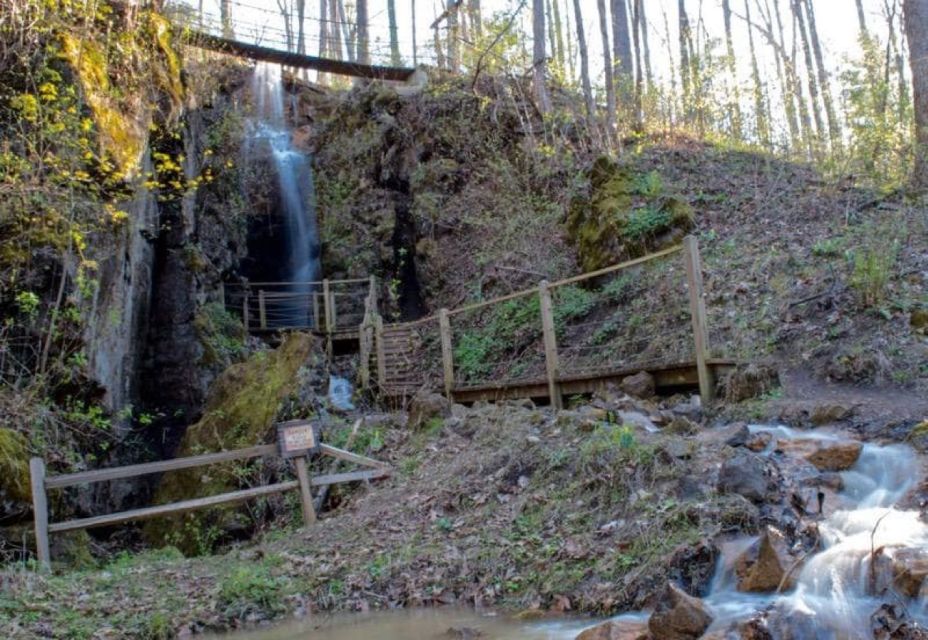 Foxfire Mountain: Hiking & Swinging Bridge Family Adventure - Is Foxfire Mountain Worth It?